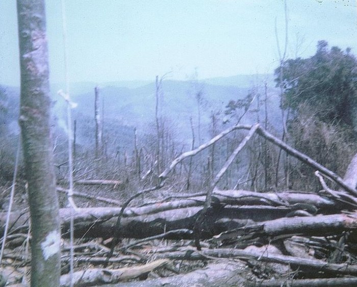 Bud Roach | Charlie Company Vietnam 1966-1972