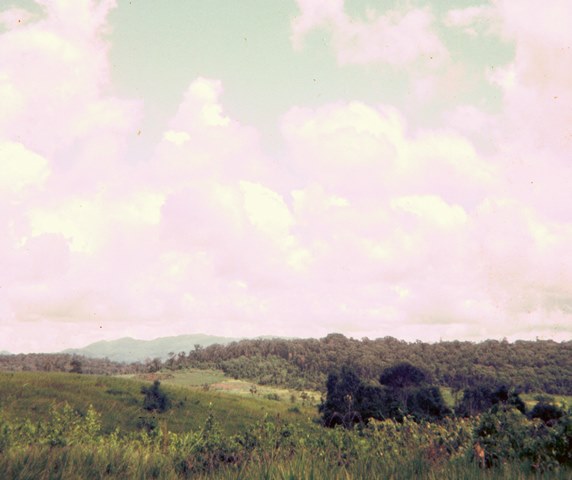 Ron Draper | Charlie Company Vietnam 1966-1972